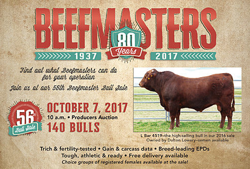 IsaBeefmasters: Cattle From the Founding Lasater Family