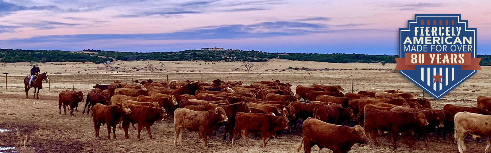 IsaBeefmasters: Cattle From the Founding Lasater Family