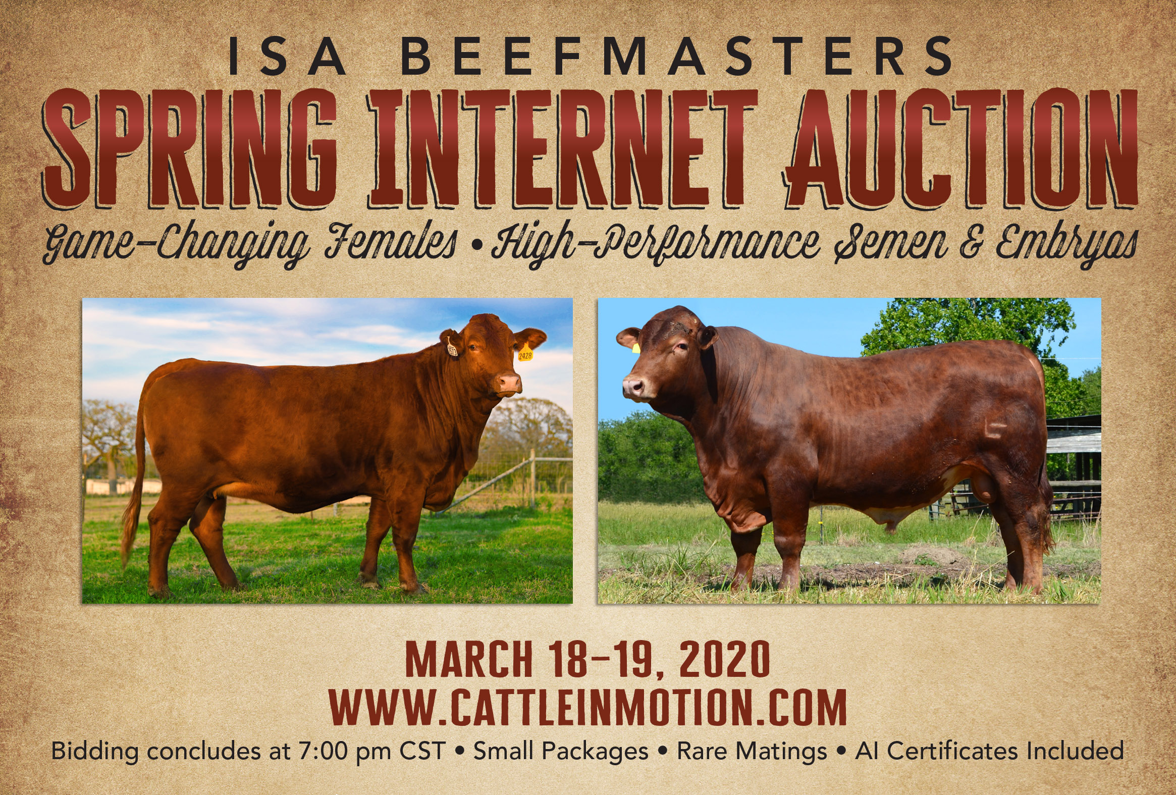 Performance Genetics Worldwide | Isa Beefmasters