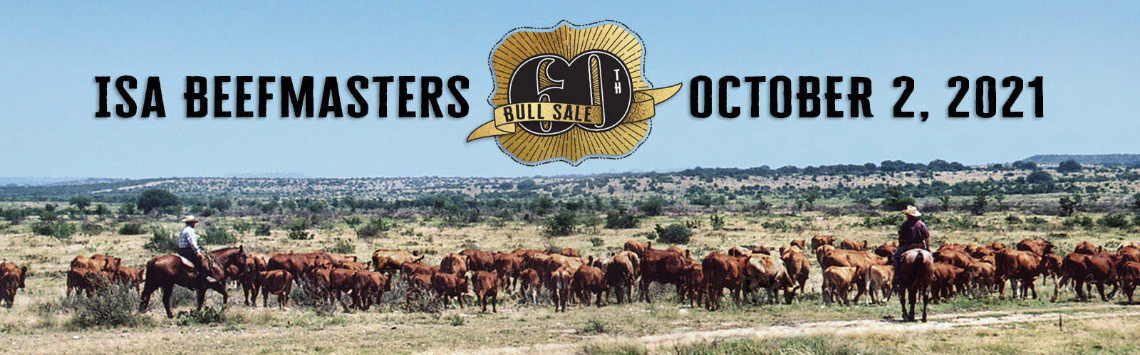 IsaBeefmasters: Cattle From the Founding Lasater Family