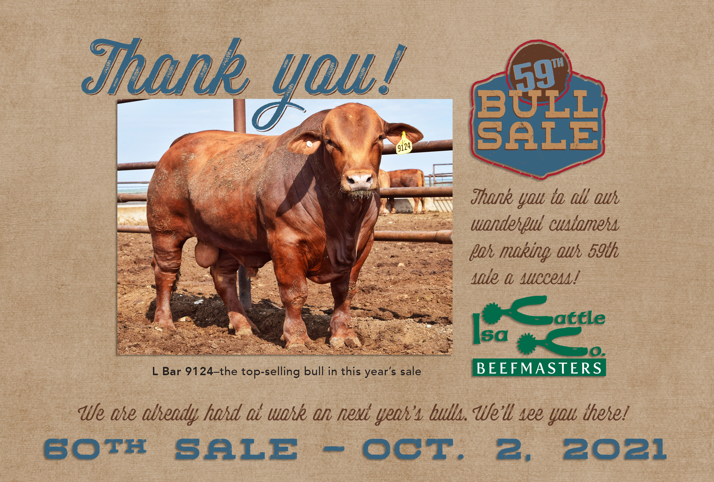 Beefmaster Sale | Top Quality Beefmaster Bulls | Isa Beefmasters