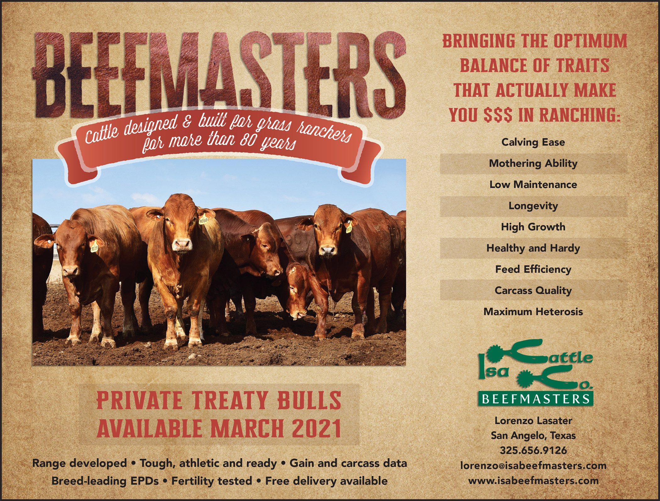 IsaBeefmasters: Cattle From the Founding Lasater Family