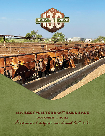 Annual Beefmaster Bull Sale | Top Quality Beefmaster Bulls