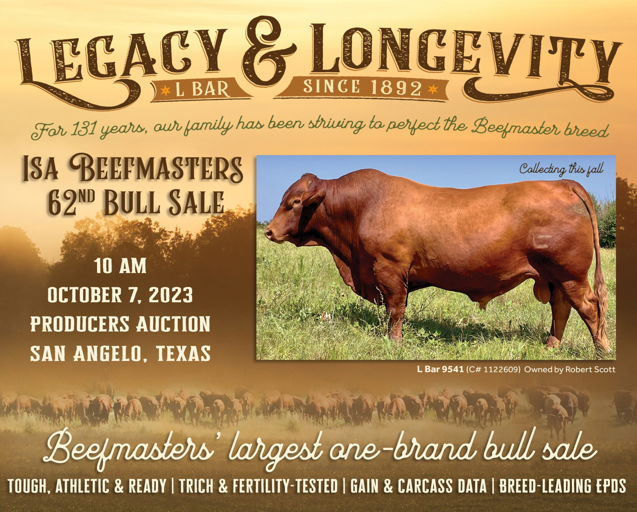 Announcing a historic Beefmaster offering - Isa Beefmasters